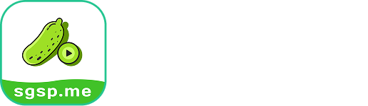 星辉科技有限公司 - 智能解决方案服务商